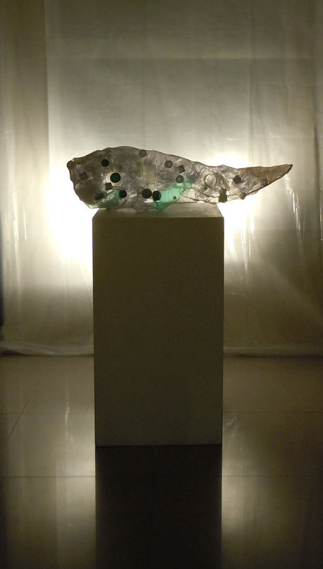 Paola-Romoli-Venturi—Balena-b – Verdecoprente