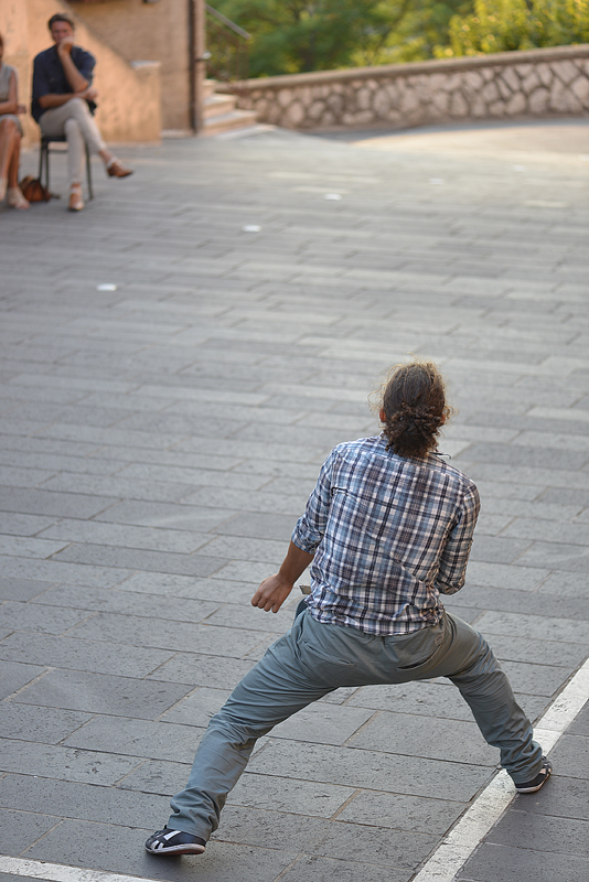 Babel_ph_rossellaviti11 – Verdecoprente