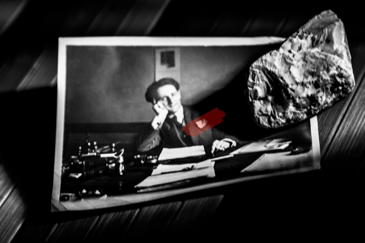 Giulio Cerocchi – Verdecoprente