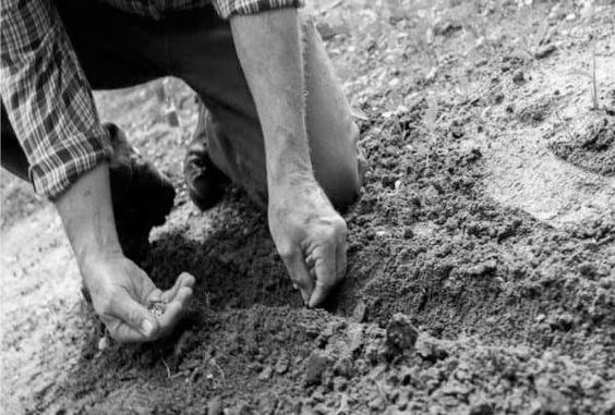 TERRAMADRE – Verdecoprente